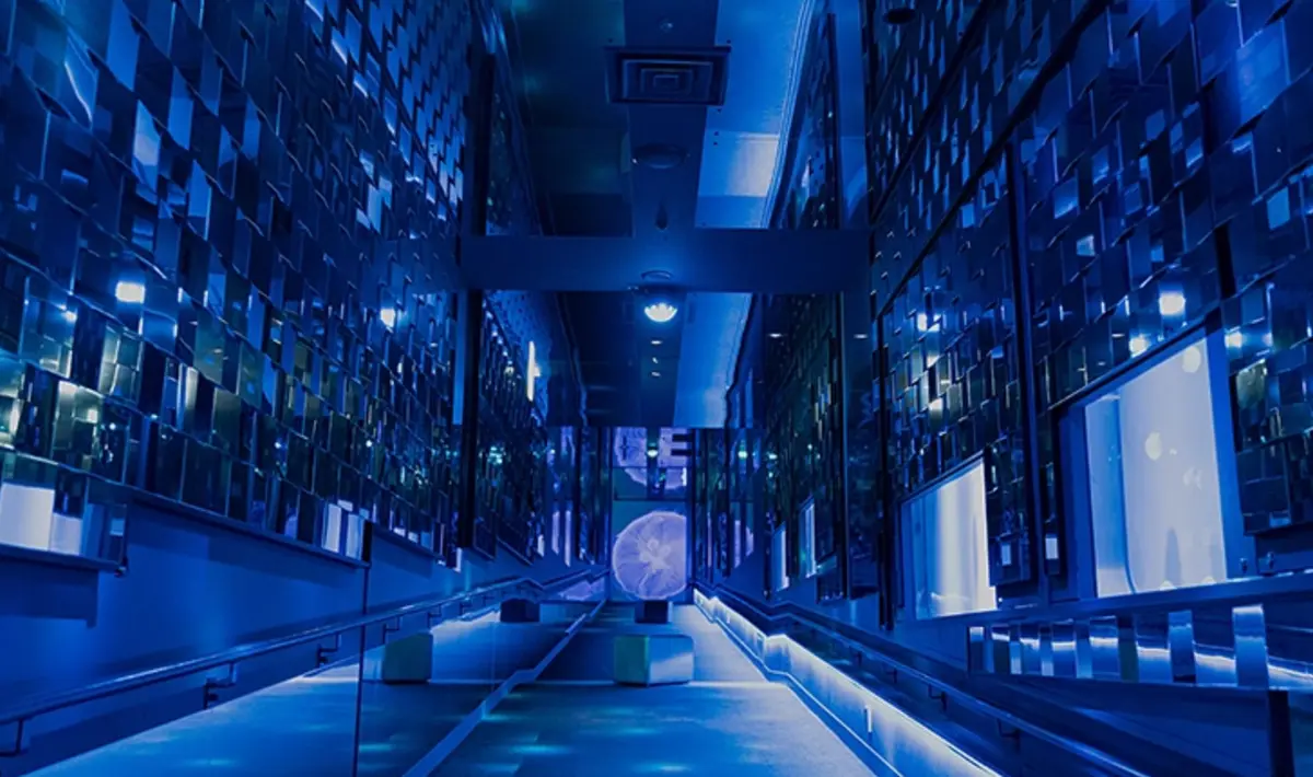 付き合いたてのカップルにぴったり♪東京都内のコスパ抜群・雰囲気のいいデートスポット5選 | ちょい旅