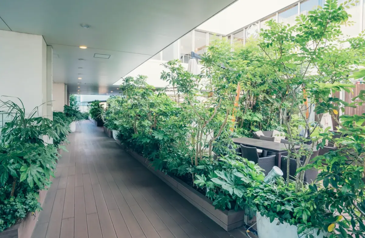 Free & Fun: Must-Visit Romantic Spots in Shinjuku | Tokyo local Trip