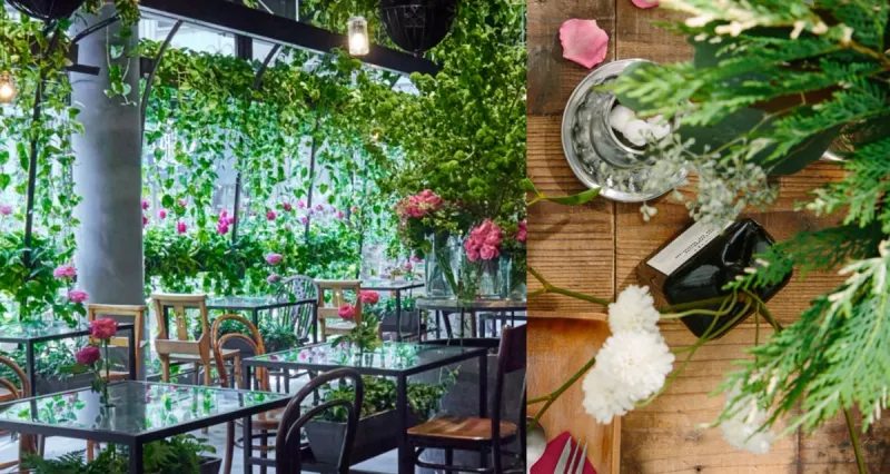 Omotesando & Harajuku: 5 Best Lunch Cafes | Tokyo local Trip