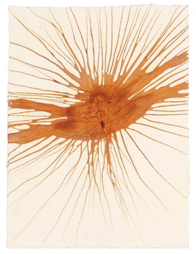 Aniline Dye – Drawing Series – Antony Gormley