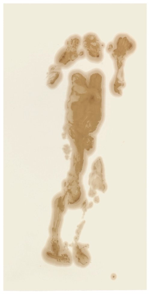 Body Prints – Drawing Prints – Antony Gormley