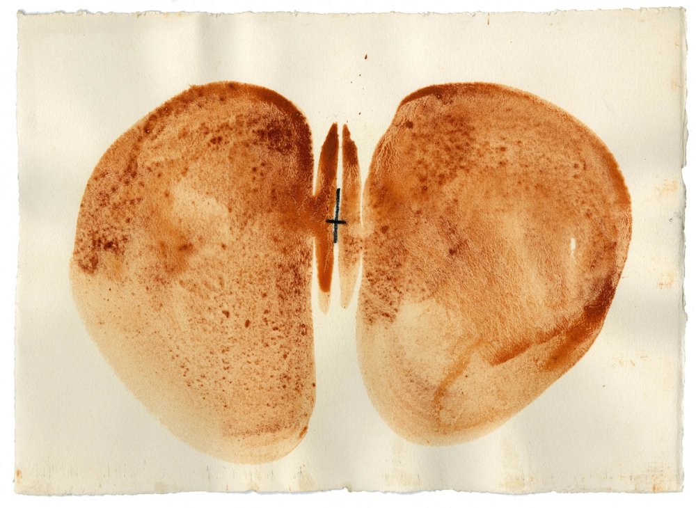 Loose Earth Drawings – Drawing Series – Antony Gormley