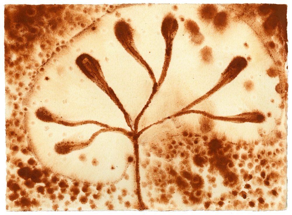 Loose Earth Drawings – Drawing Series – Antony Gormley
