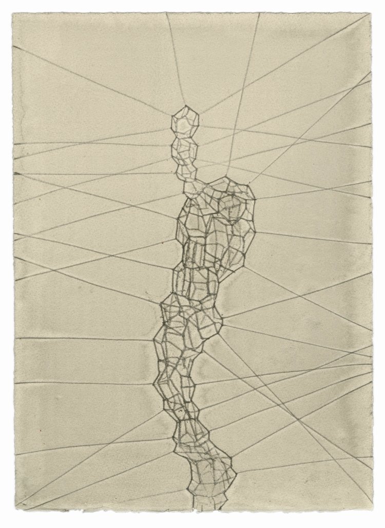 Drawing Series – Antony Gormley