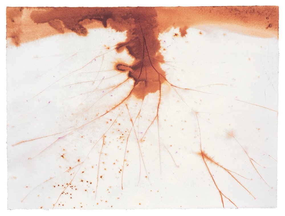 Aniline Dye – Drawing Series – Antony Gormley