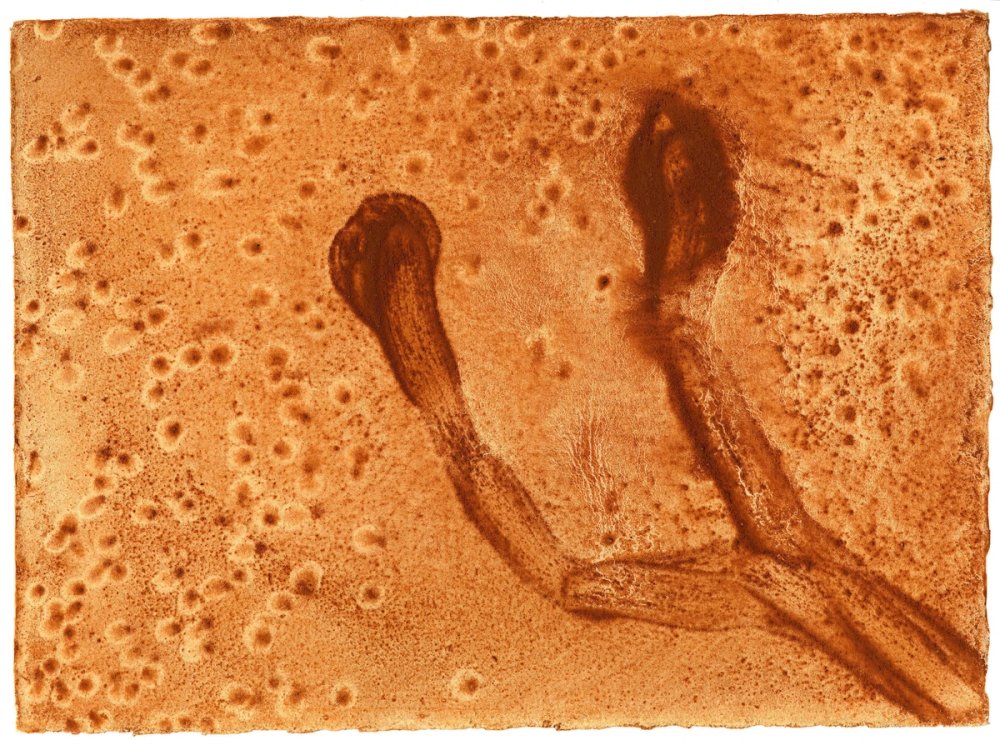 Loose Earth Drawings – Drawing Series – Antony Gormley