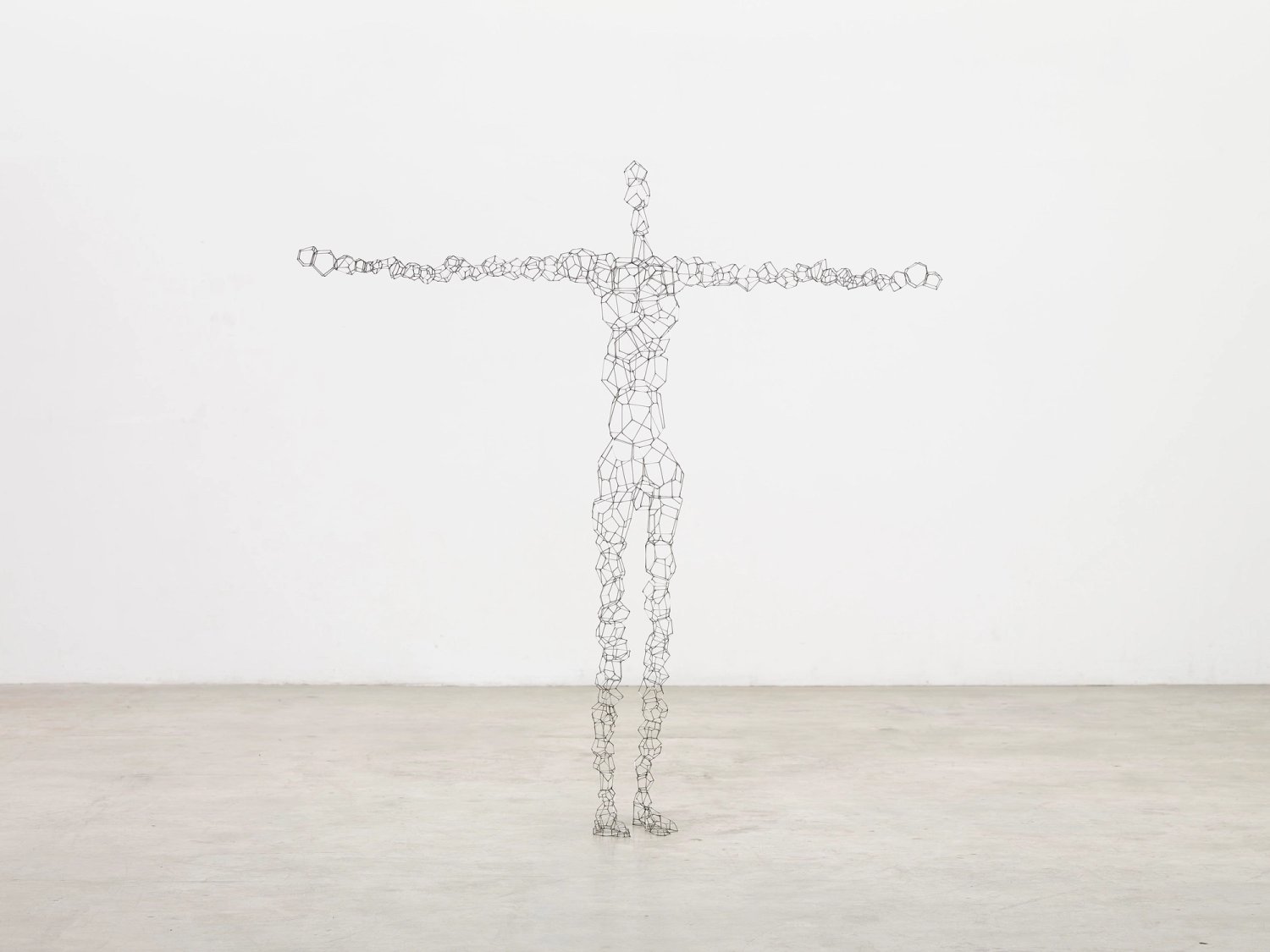 Fix (Net) – Net Polyhedra Works – Sculpture Series – Antony Gormley