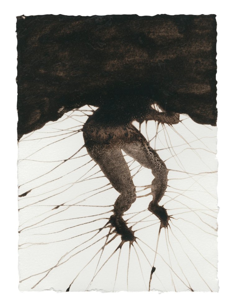 Drawing Series – Antony Gormley