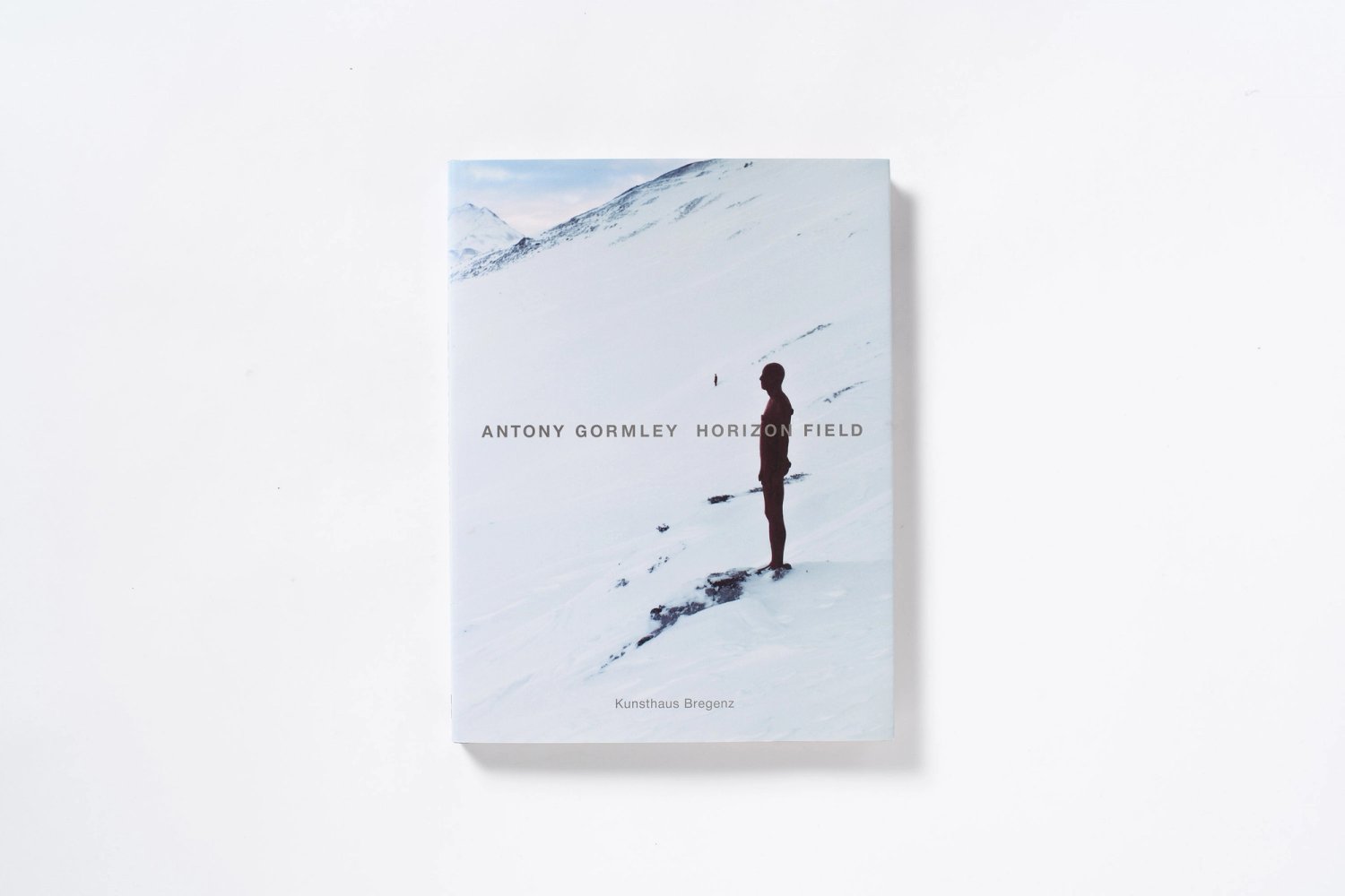 Horizon Field – Publications – Antony Gormley