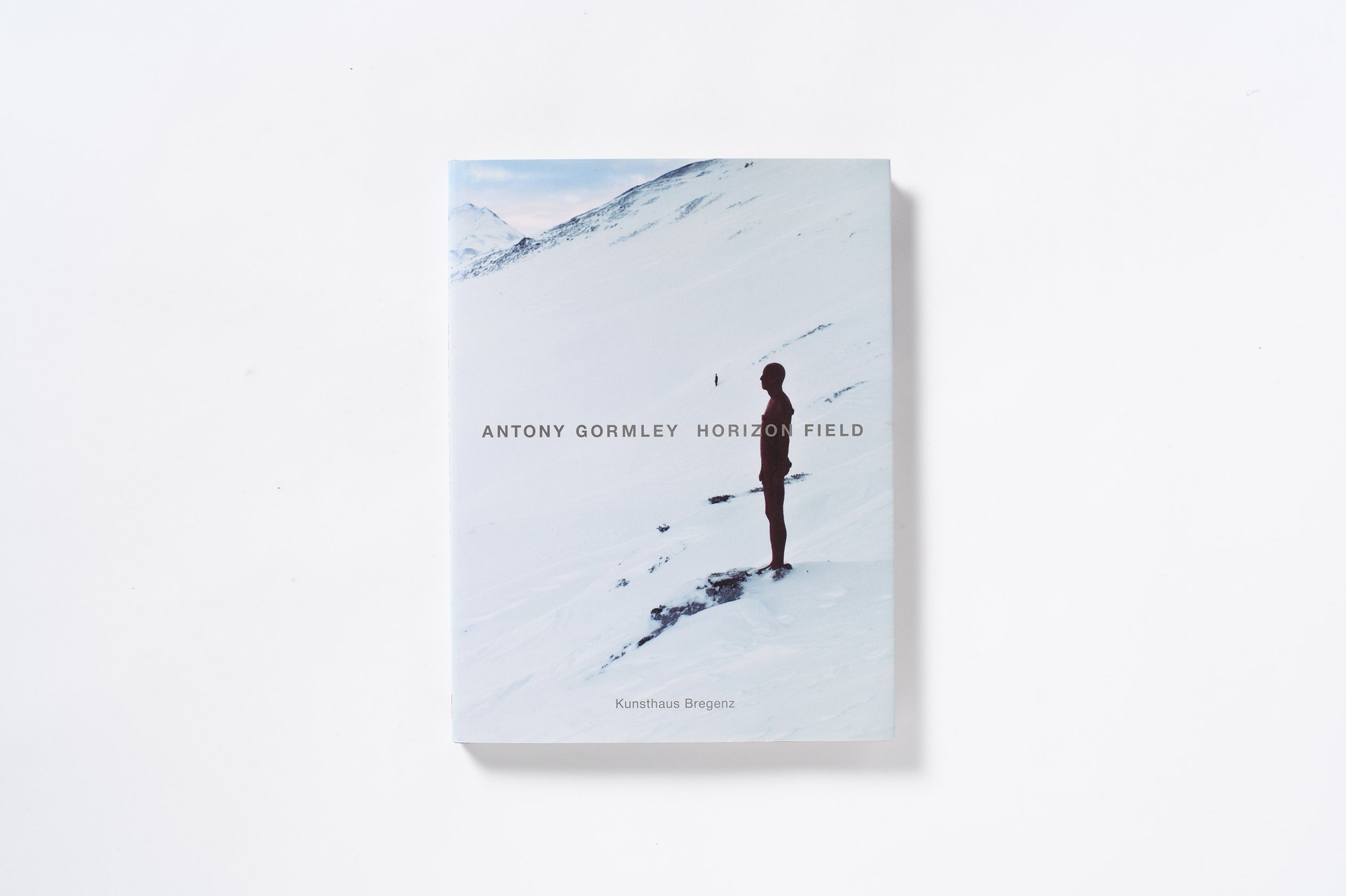 Horizon Field – Publications – Antony Gormley