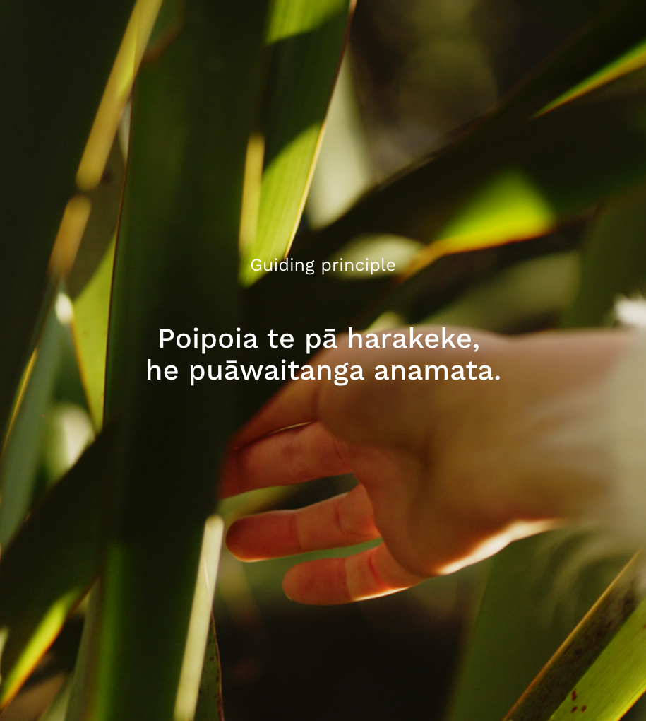 Tui Tuia Brand Story