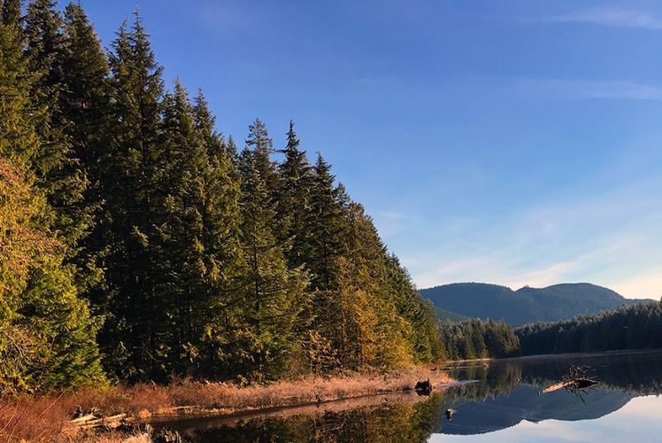 Woss Lake Provincial Park - CampVI