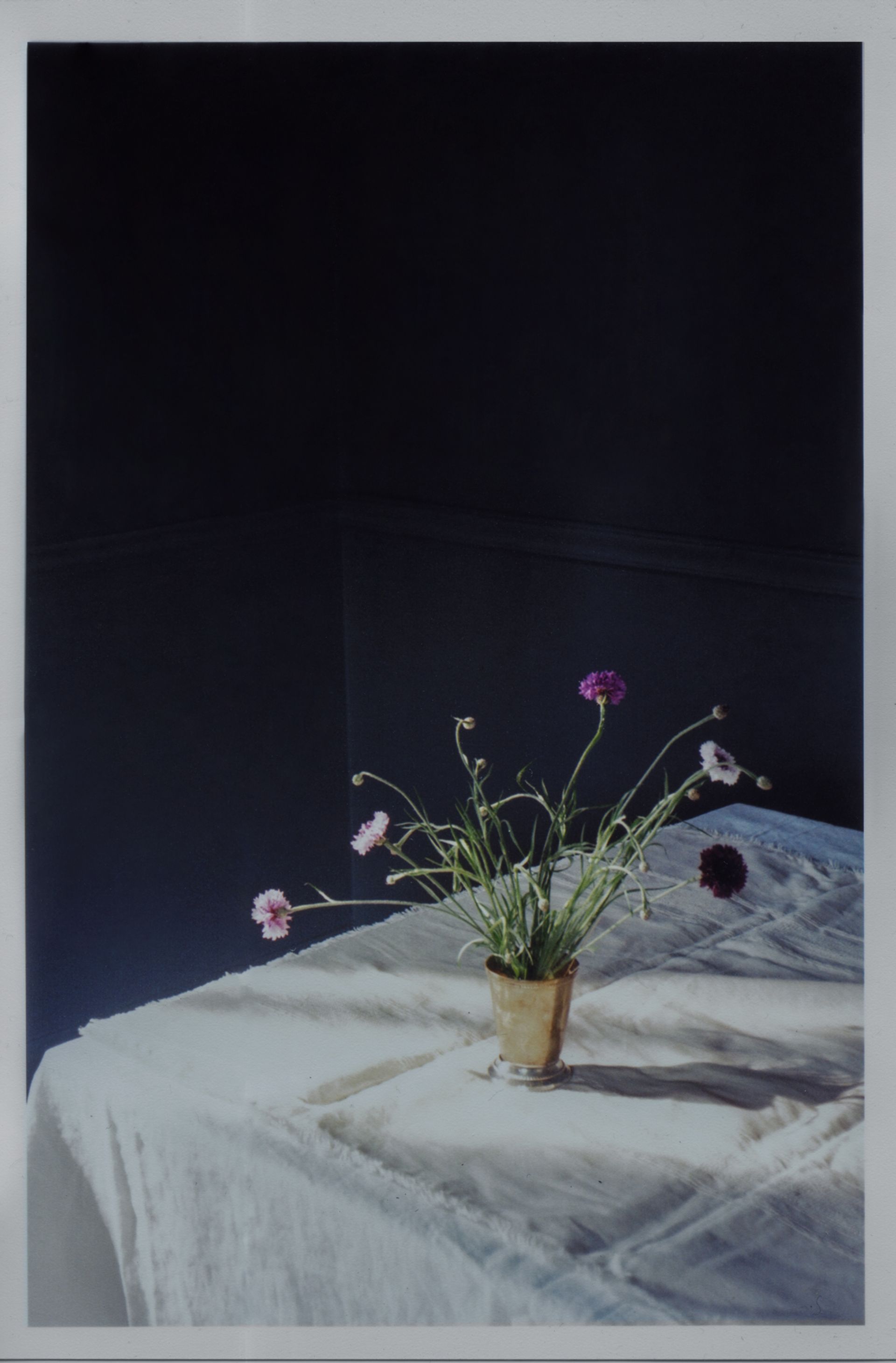 Flora | Margot Magazine