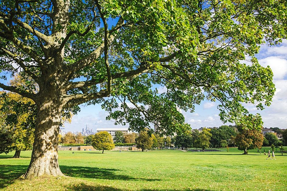 Brockwell Park on Trippin