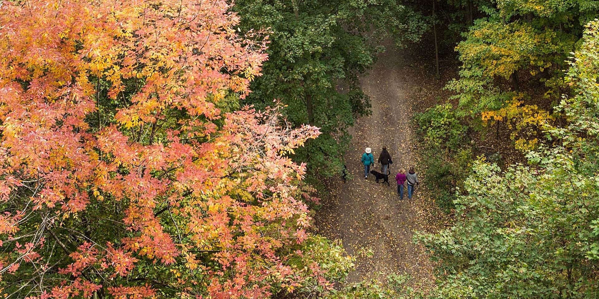 Don Valley Trail