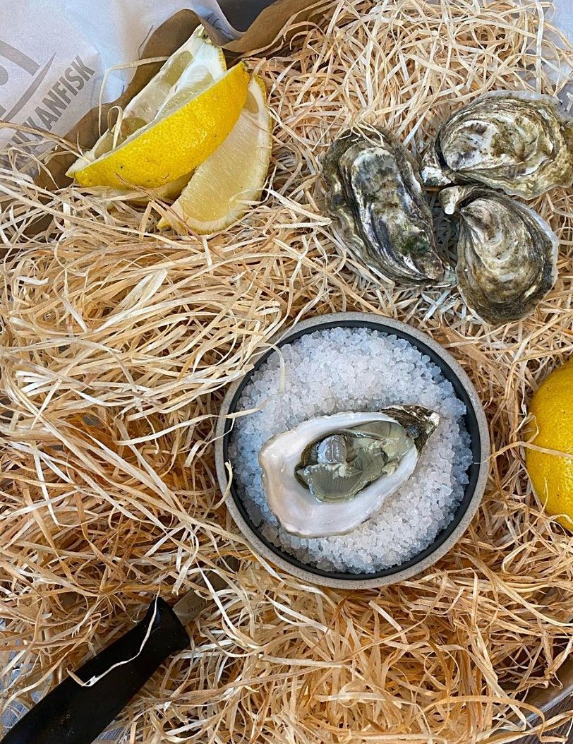 Vulkan Fisk Mathallen, Oslo on Trippin