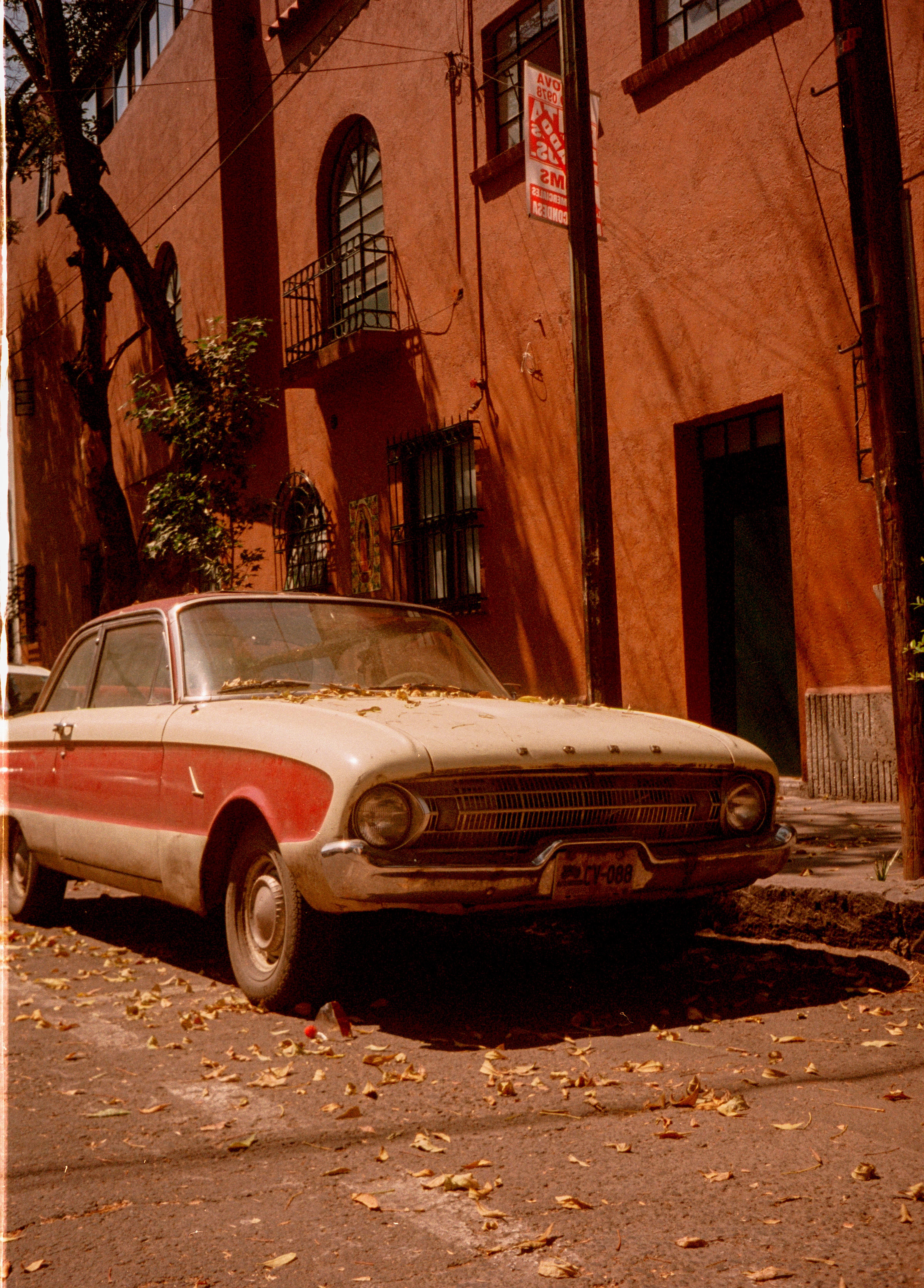 A Guide to Mexico City's Best Neighbourhoods