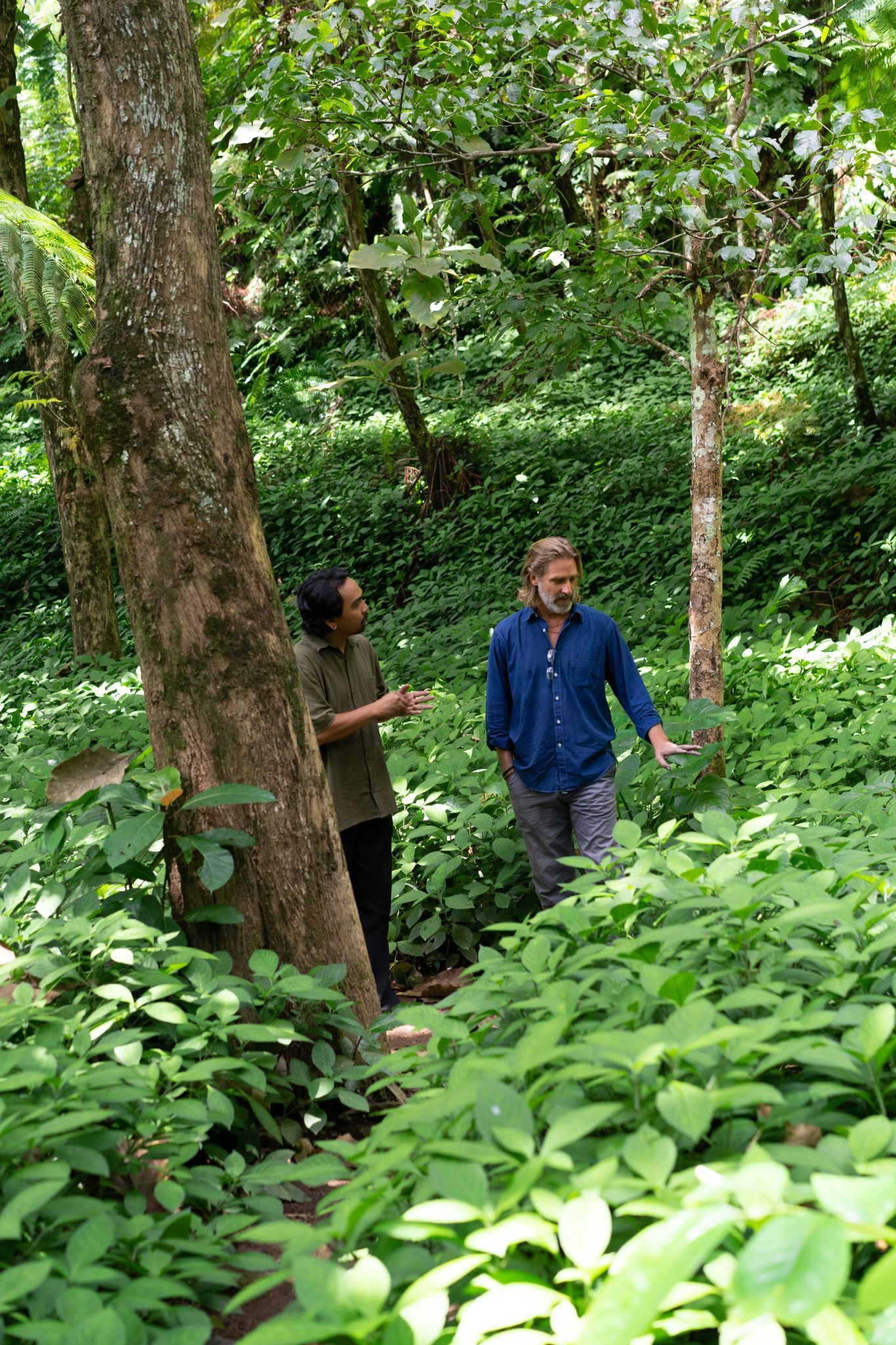Tian Taru / Payangan, Plantation in Bali, Indonesia
