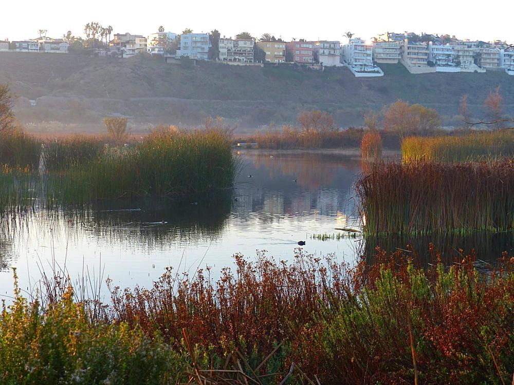 Ballona Wetlands, Los Angeles on Trippin