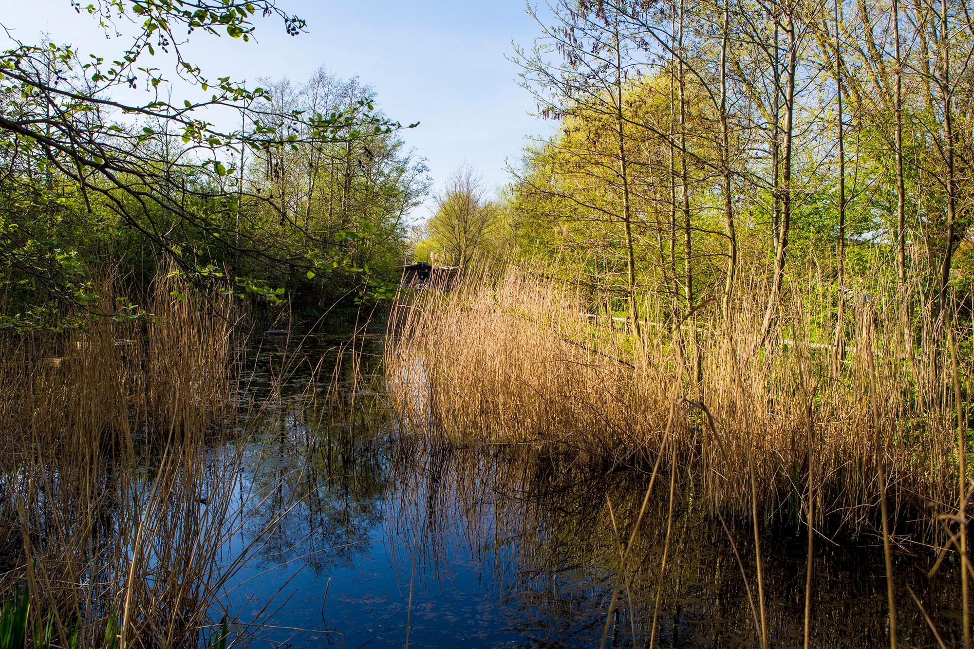 OpenArea's Six-Day Programme Resists Culture's Disconnection from Nature