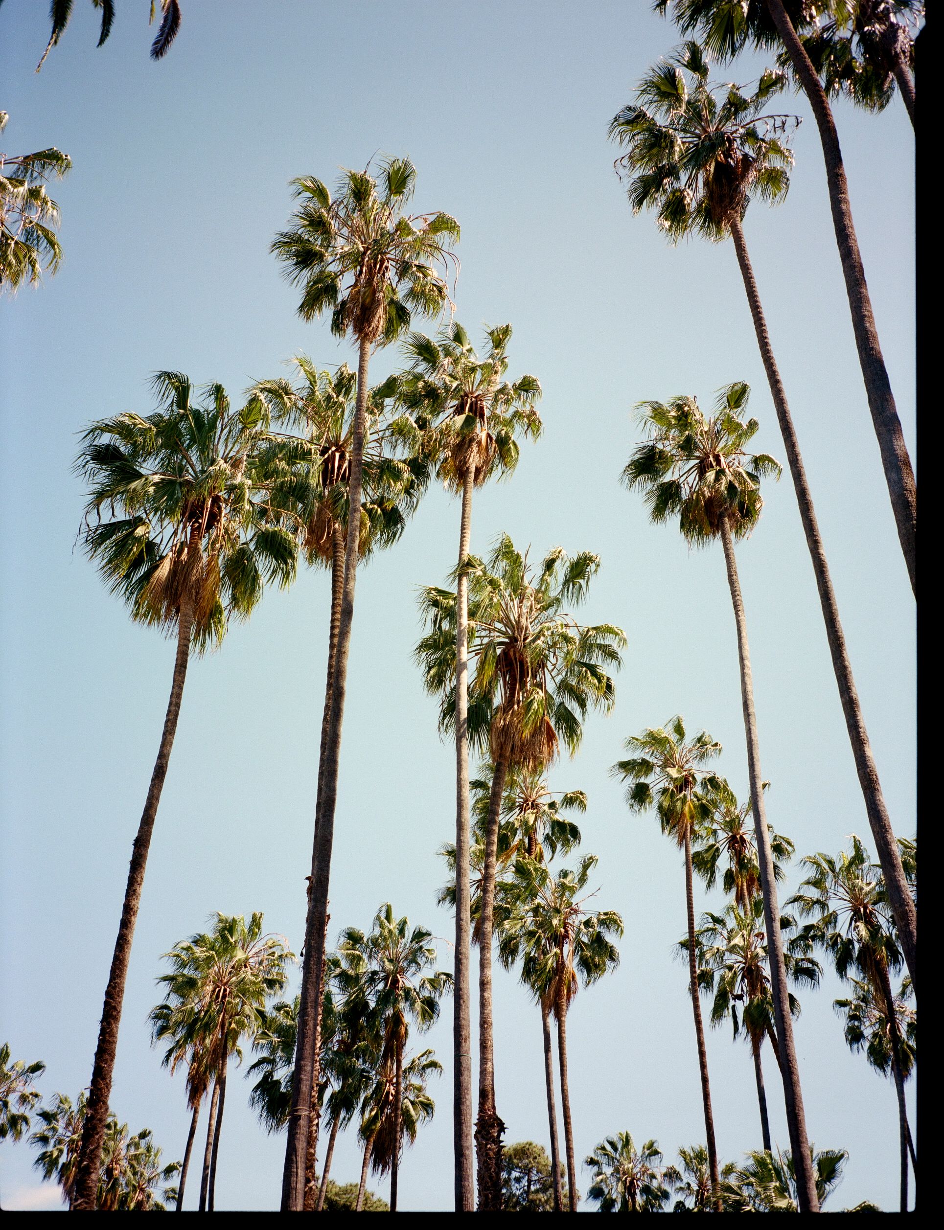 Los Angeles Travel Guide