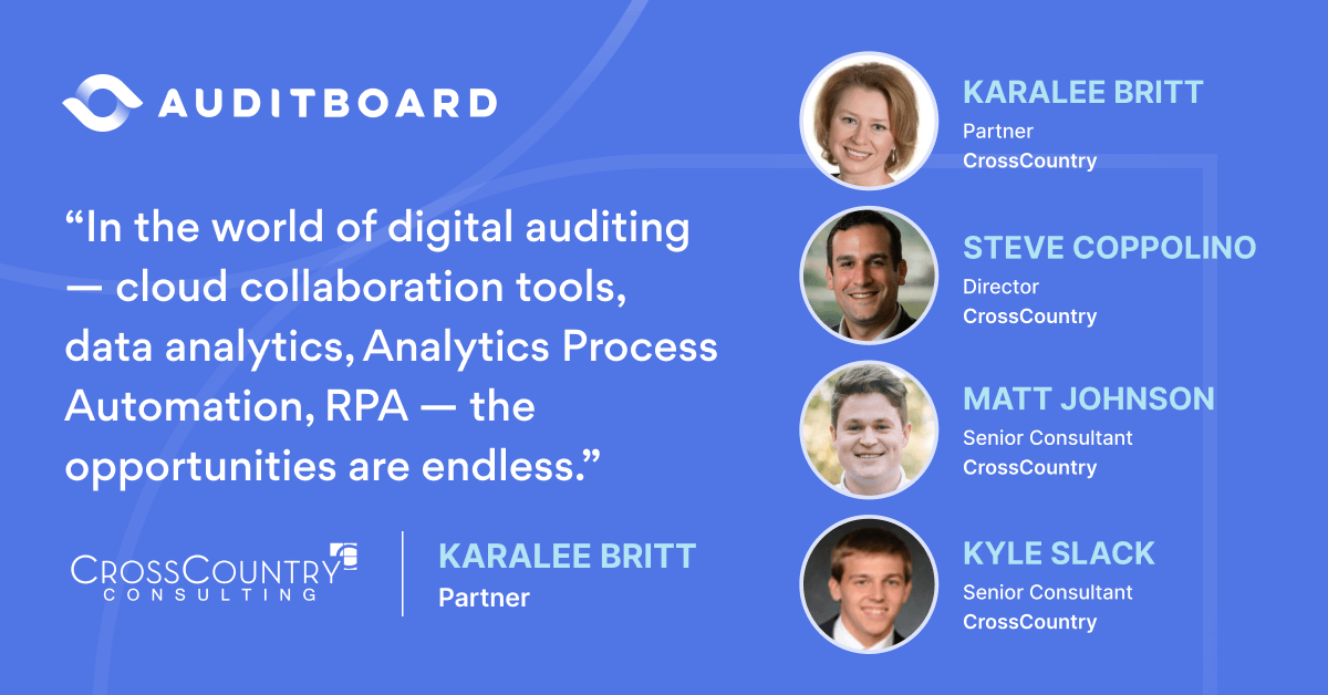 Digital Auditing in Action