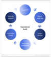 Operational audit: Overview and guide
