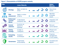 Internal Control over Financial Reporting (ICFR) Guide