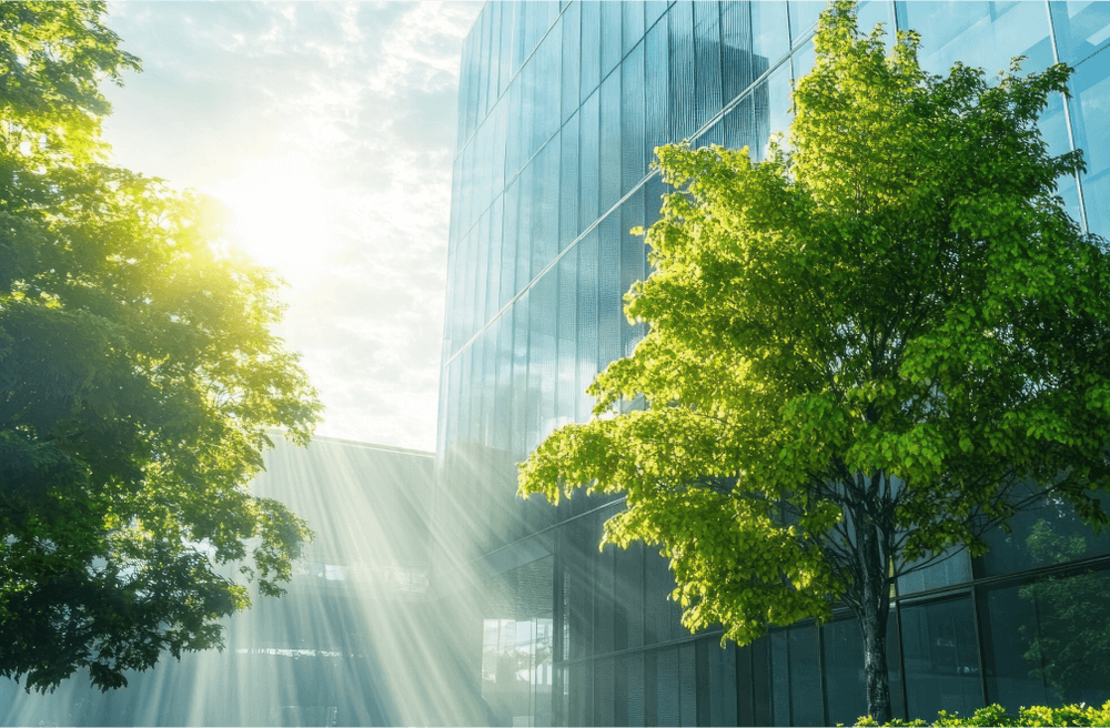 ESG Compliance Guide 2024