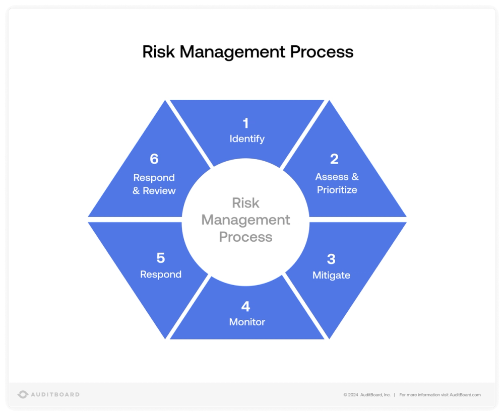 The Risk Management Process: Guide and Tools