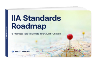 IIA Standards Roadmap: 6 Practical Tips to Elevate Your Audit Function