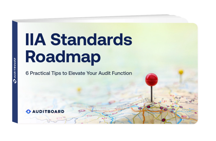 IIA Standards Roadmap: 6 Practical Tips to Elevate Your Audit Function