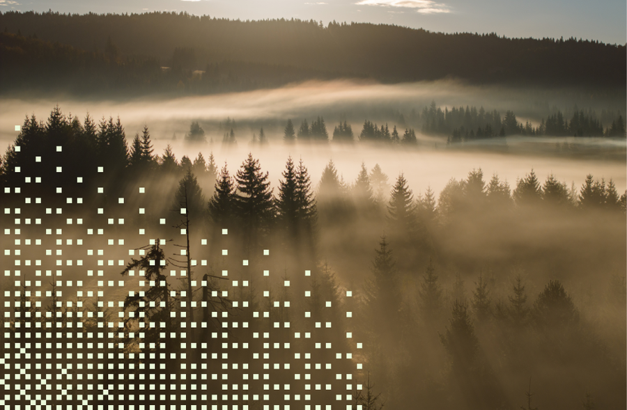 HR audit process: A practical guide to streamline compliance and risk