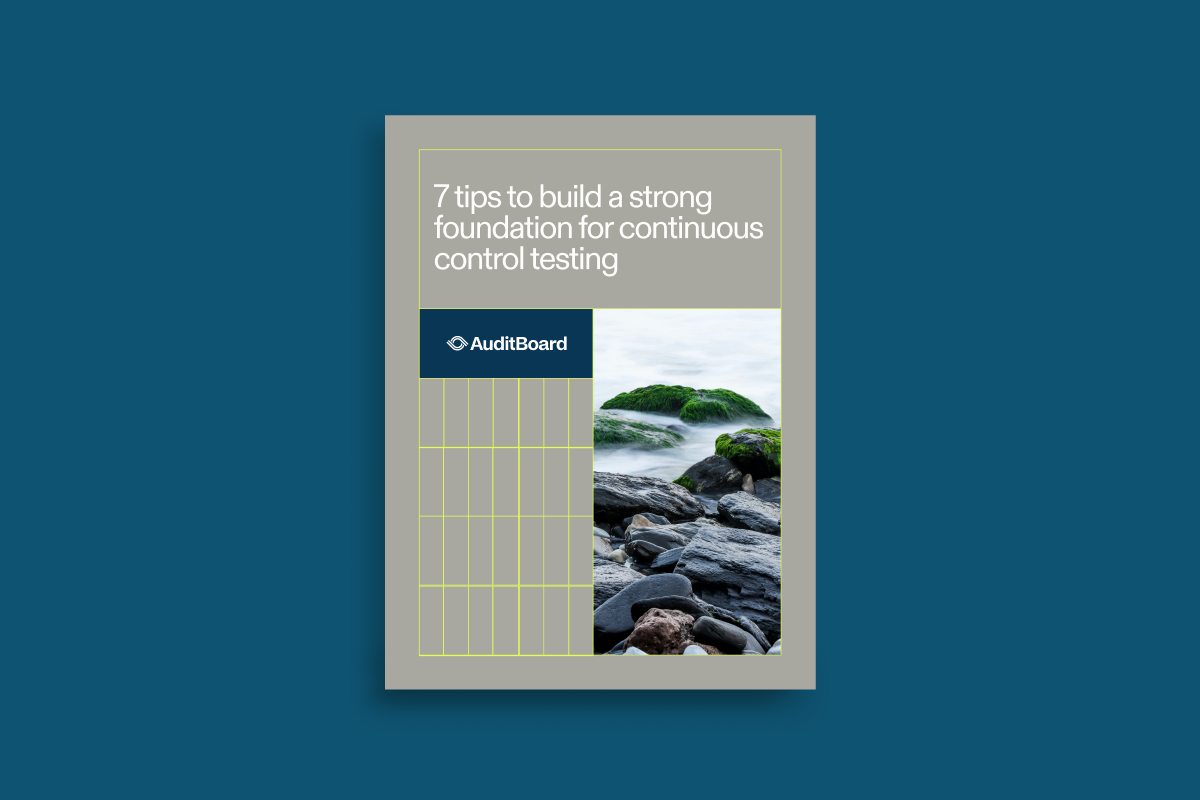 The Audit Management Playbook (2025 Update)