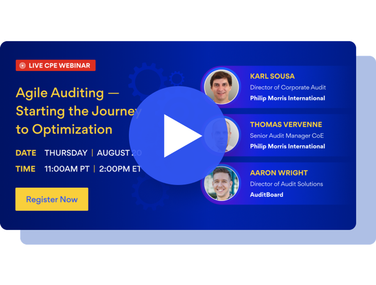 Agile Auditing - Starting the Journey to Optimization