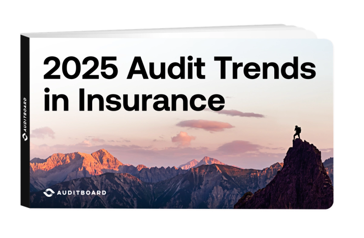 2025 Audit Trends in Insurance