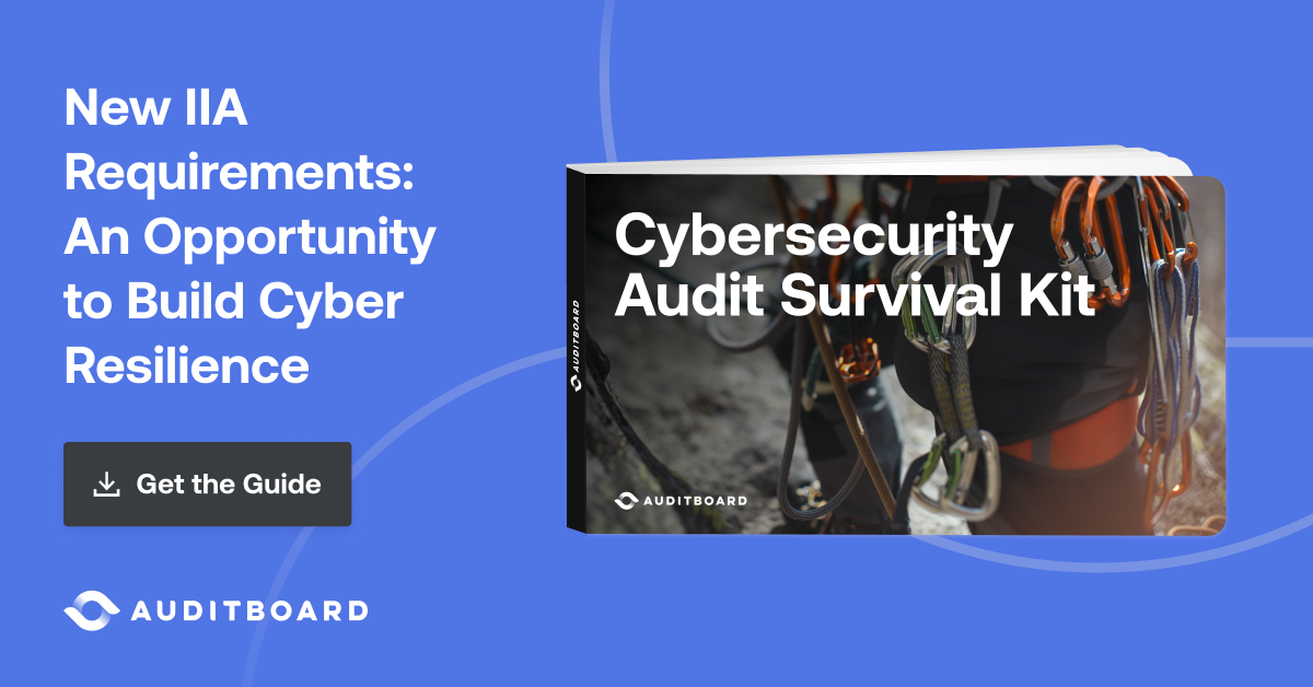 Cybersecurity Audit Survival Kit