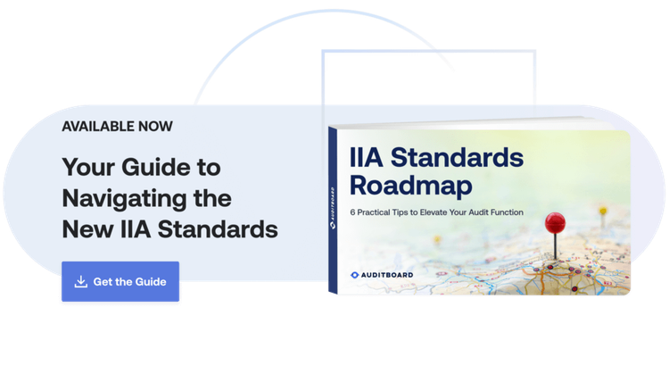 IIA Standards Conformance: Perspectives on Frequently Asked Questions