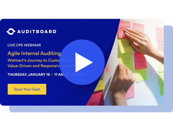 Agile Internal Auditing: Walmart's Journey to Customer-Centered, Value ...