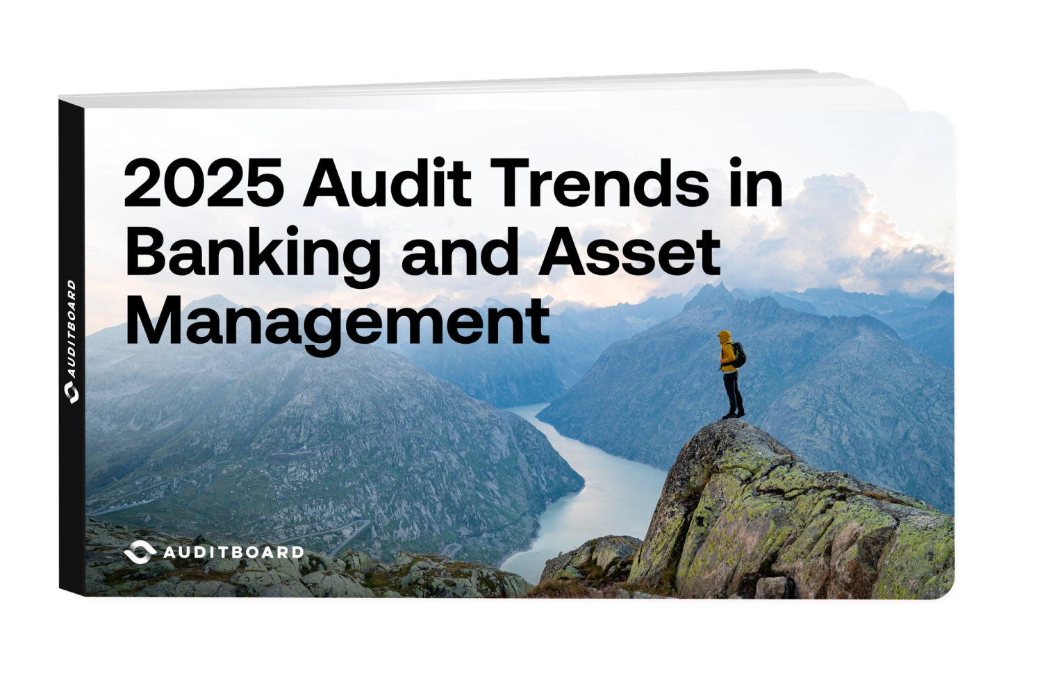 2025 Audit Trends in Banking and Asset Management