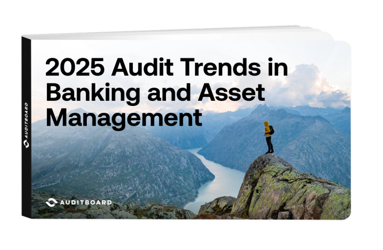 2025 Audit Trends in Banking and Asset Management