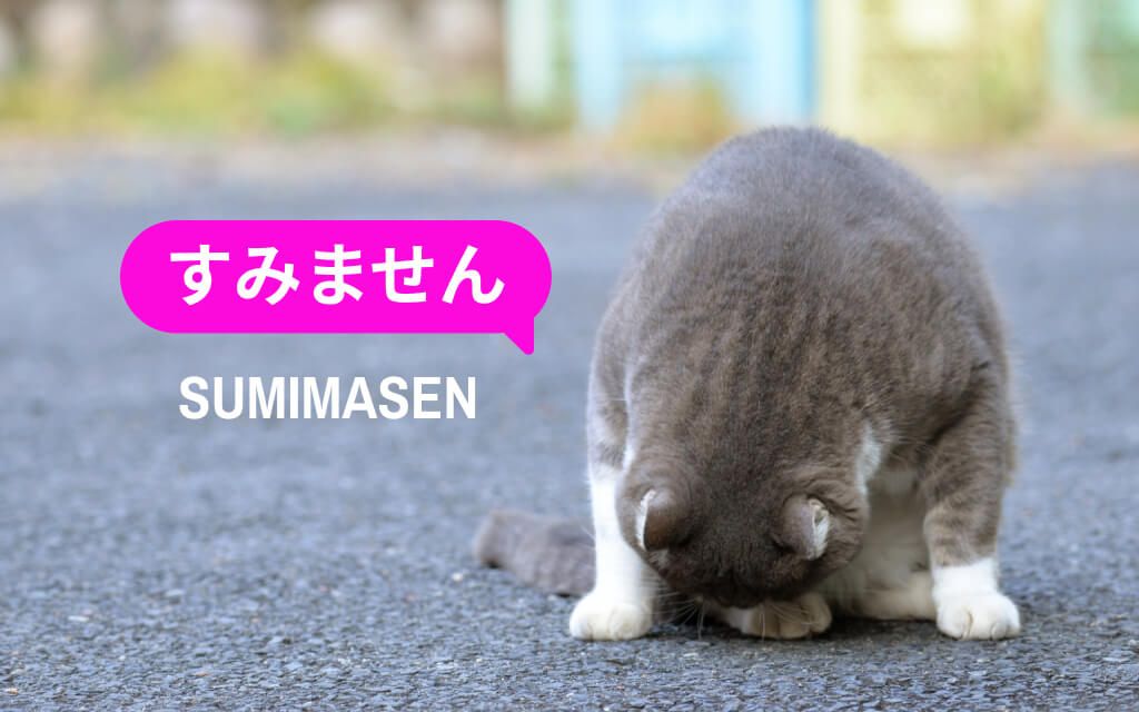 How to Say Sorry in Japanese: Sumimasen, Gomenasai & 15+ Apology ...