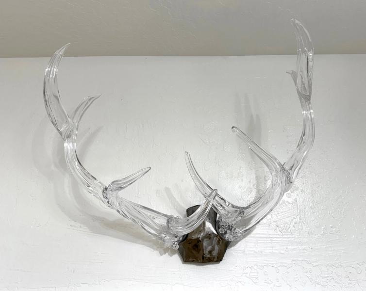 Jared & Nicole Davis - Crystal Wall Antler Mount