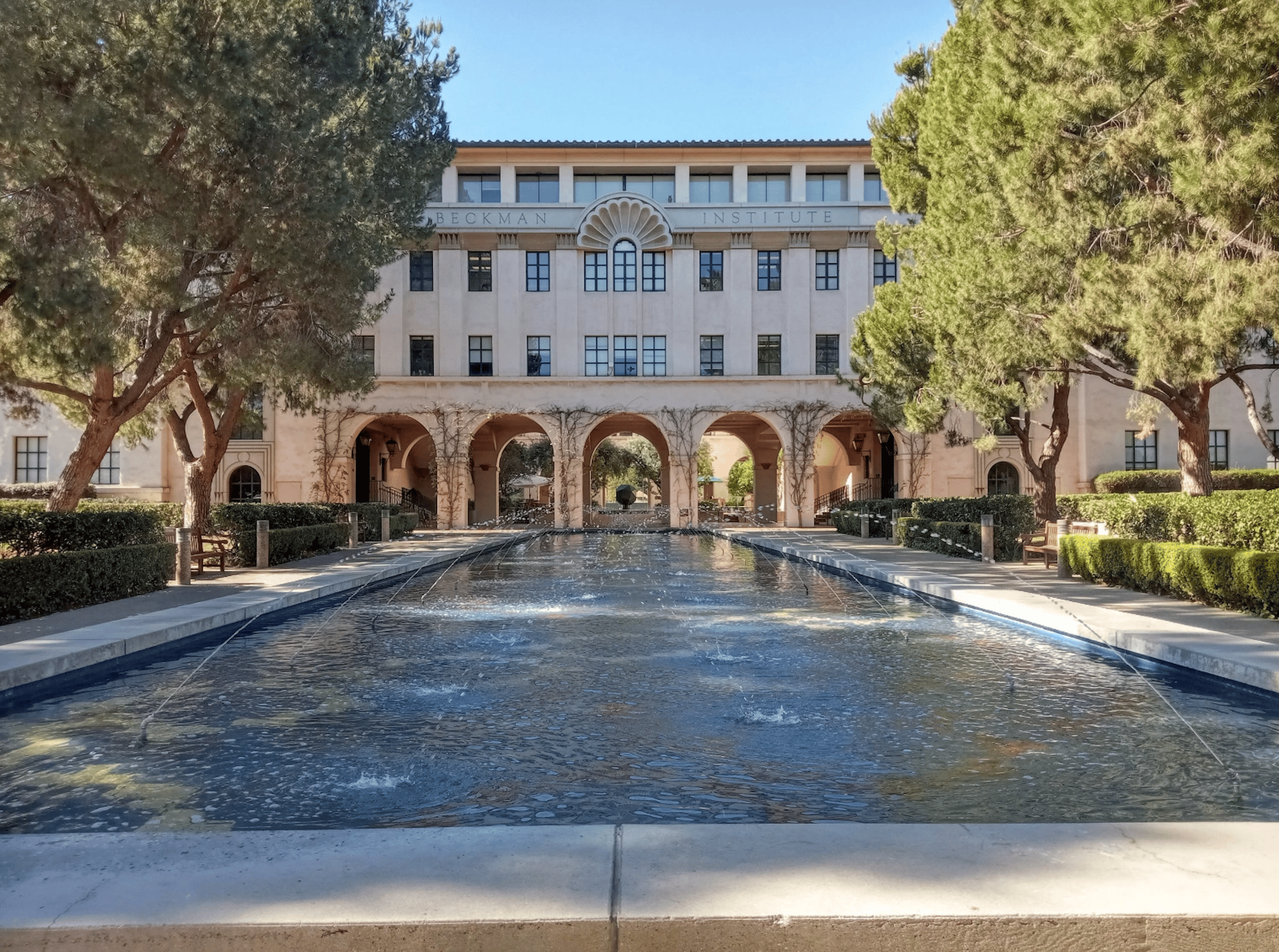 MIT, CalTech, Stanford & More: The Dewey Smart Class of 2024! | Dewey Smart