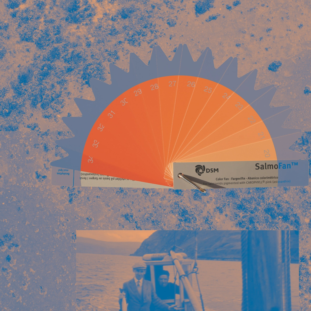 Salmofan, DSM. Photo: Cooking Sections, 2021 – Becoming Climavore