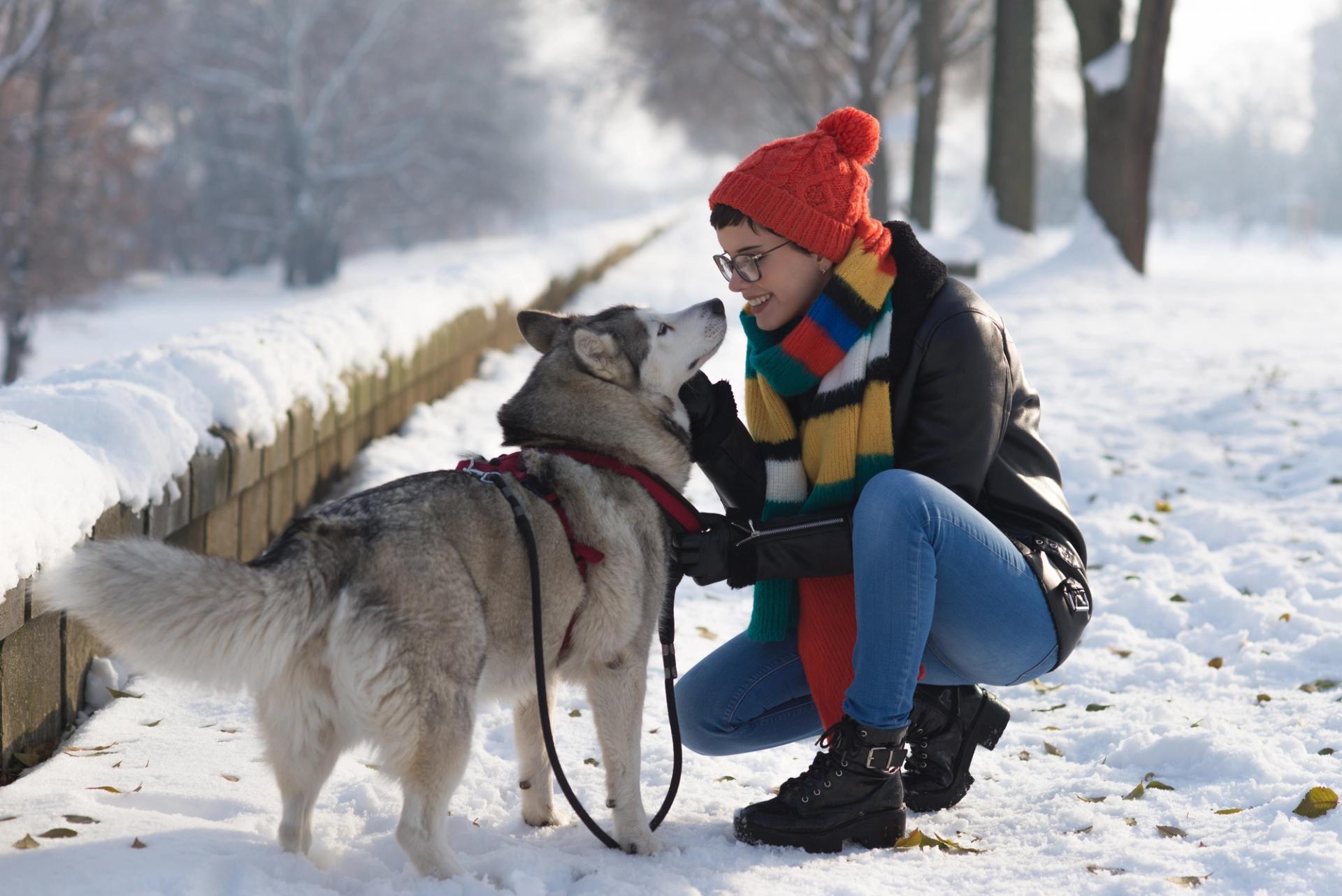 Benefits of Owning a Dog