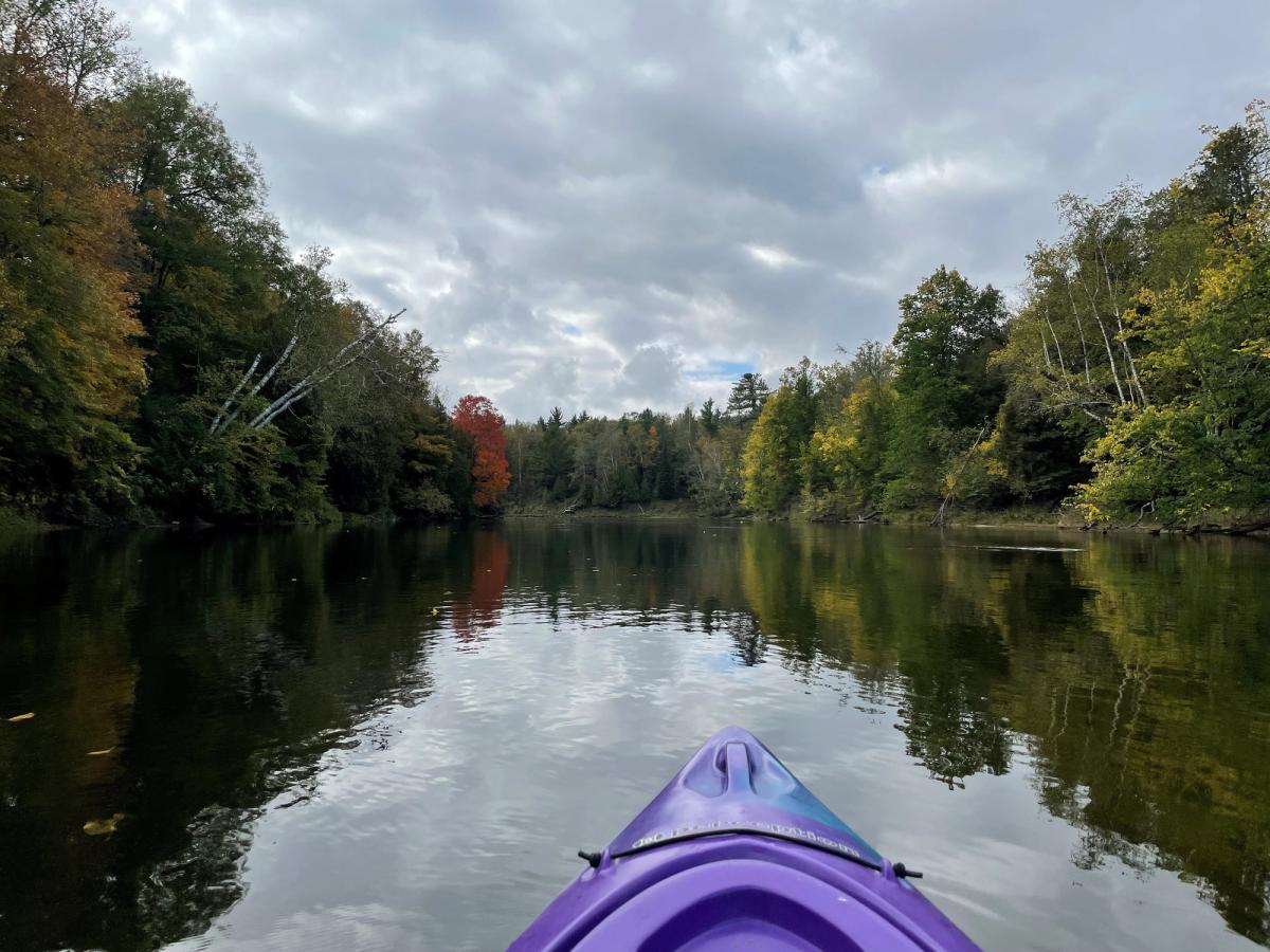 Au Sable River Corridor
