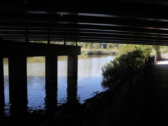 #MITrailsWeek: Clinton River Spillway Path