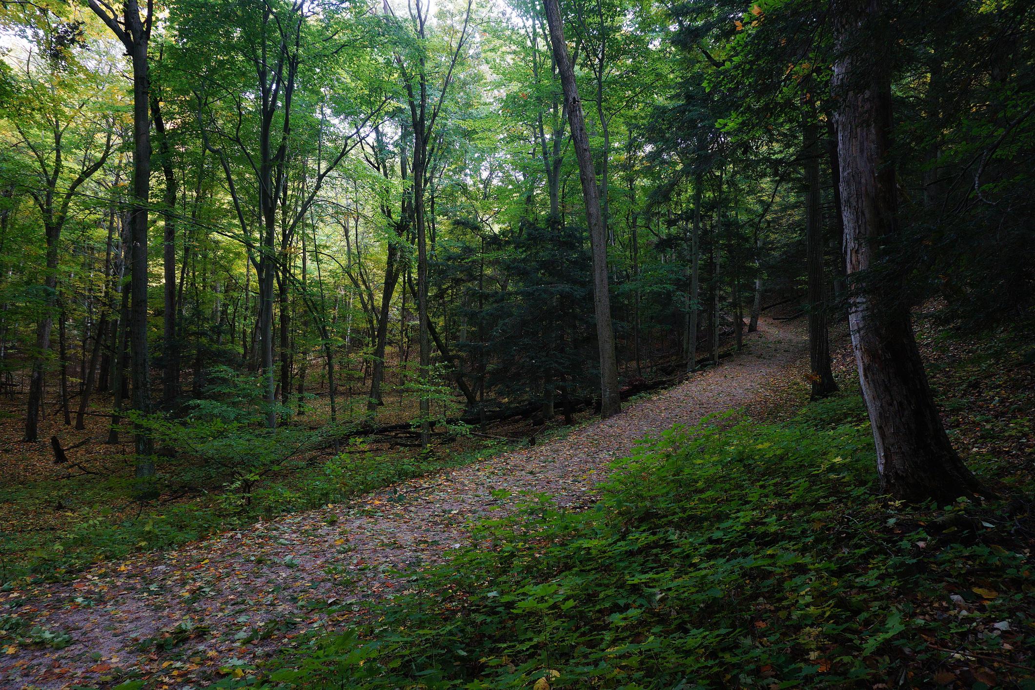 Michigan Bucket List: Sanilac Petroglyphs Historic State Park