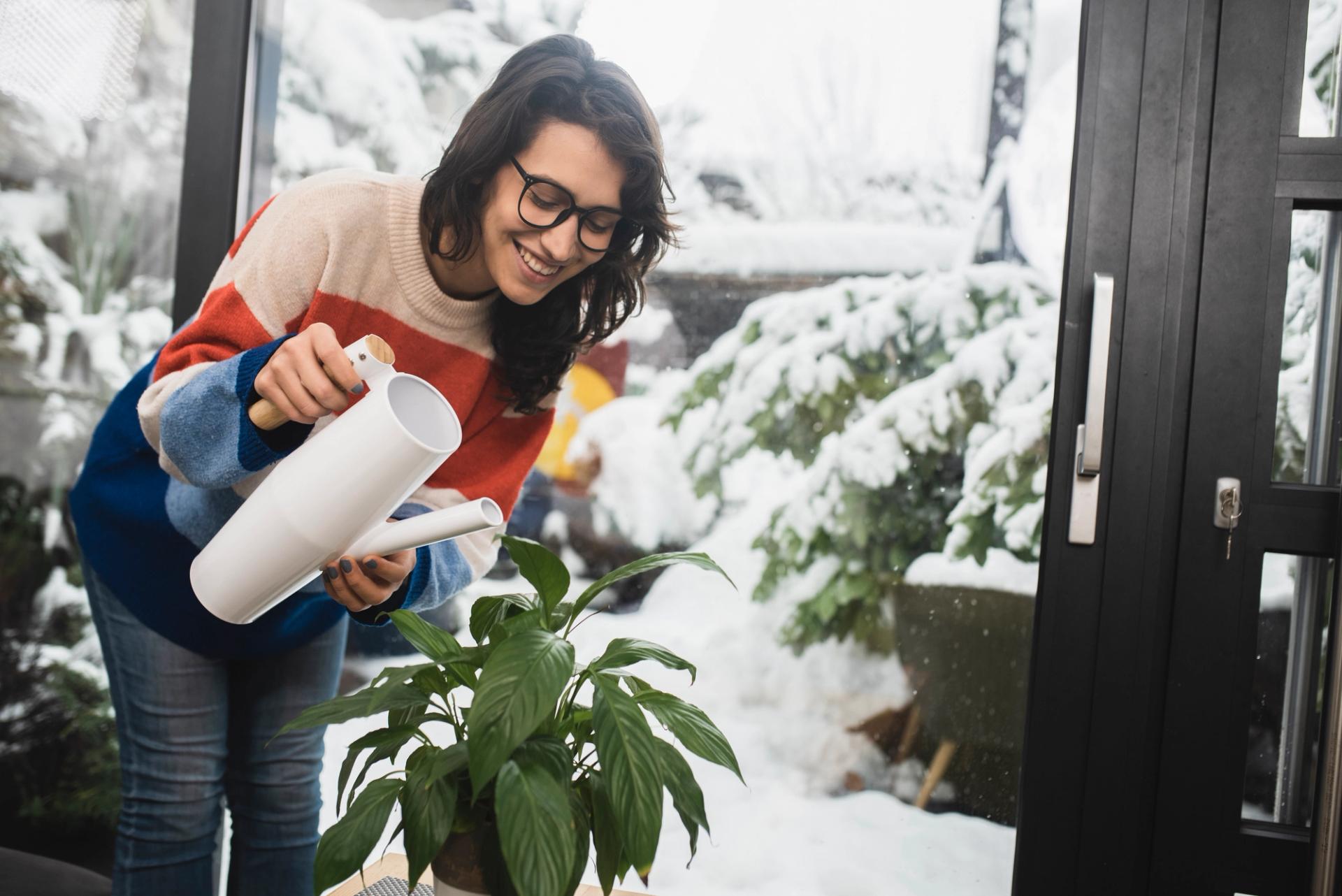 How to Start an Indoor Winter Garden